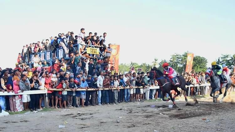 Menpora: Lomba Pacuan Kuda di Kebumen jadi Contoh Sport Tourism